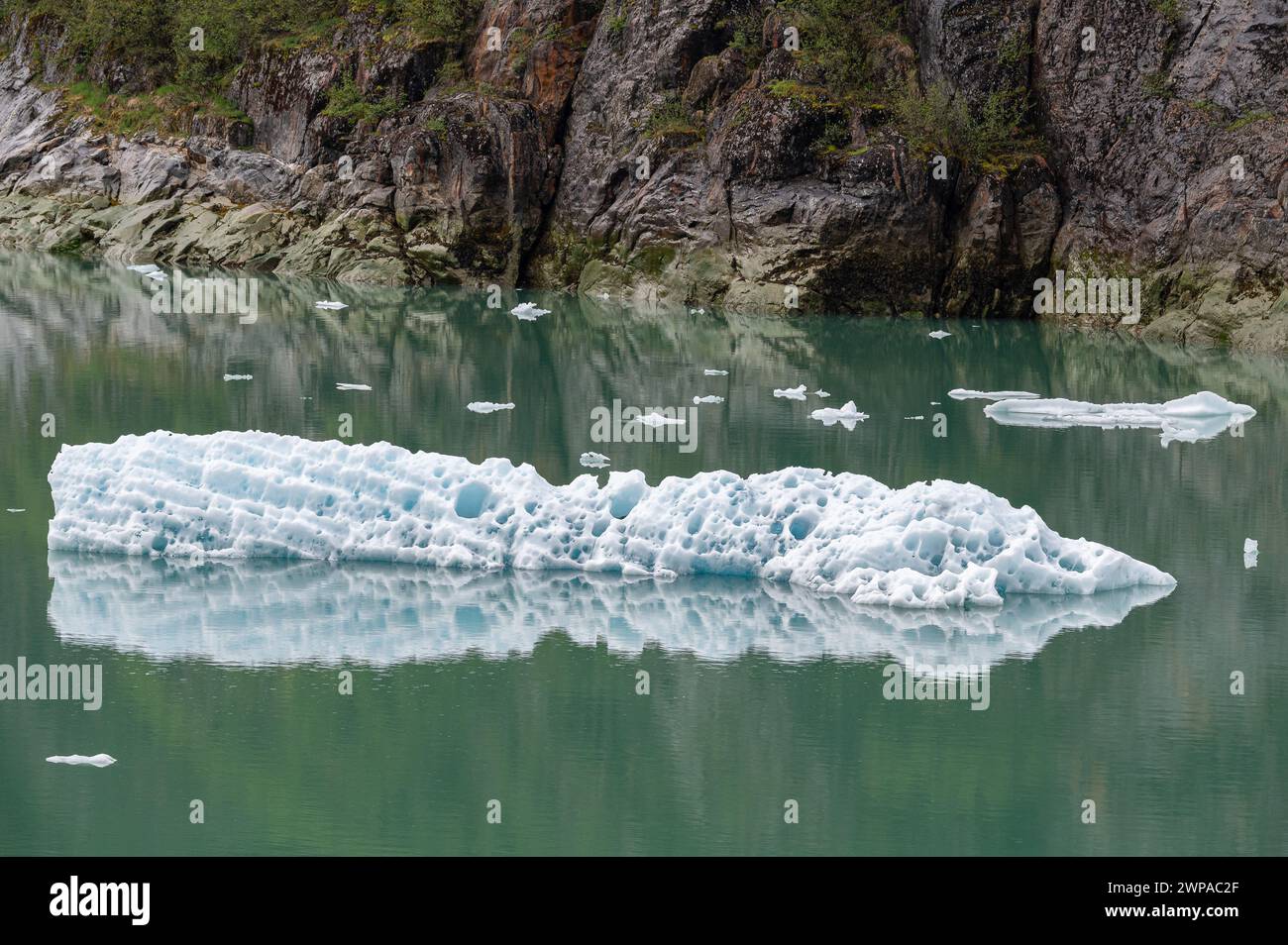 Pitted growler (small iceberg) floating in the Tracy Arm inlet, Alaska ...