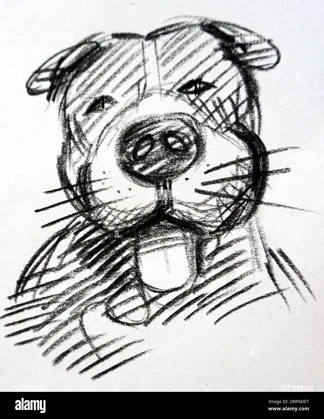Art Drawing Sketch out line Face Cute bulldog background from thailand ...
