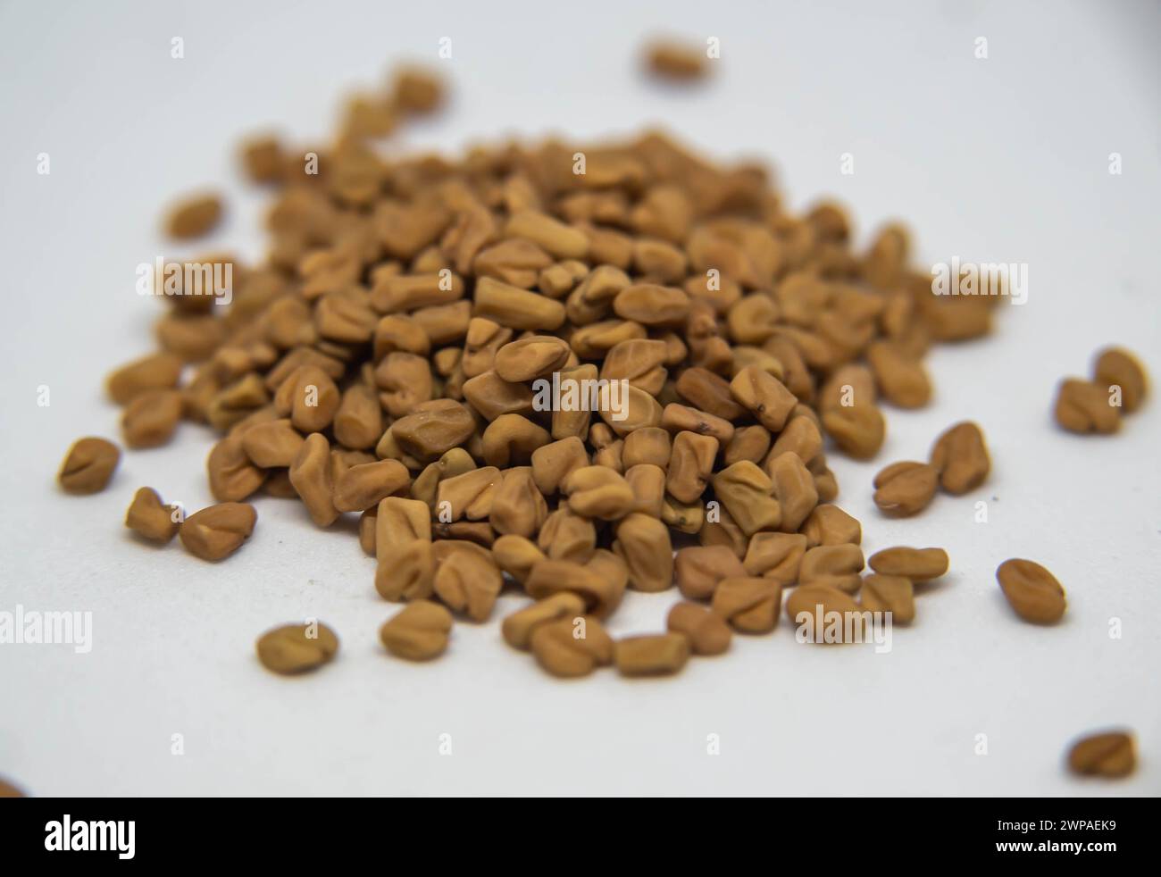 Indian curry hi hi-res stock photography and images - Alamy