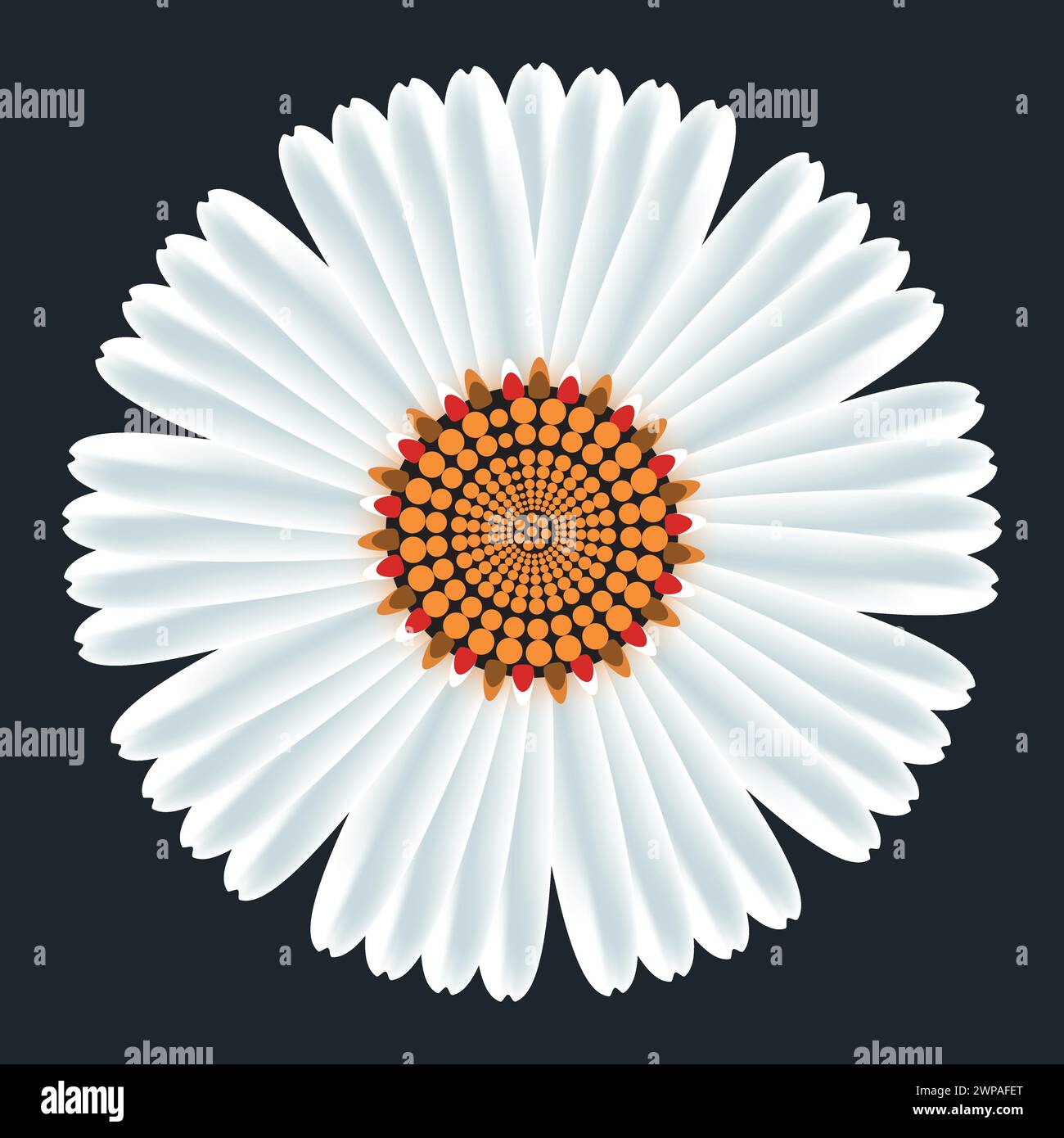 Black and white stock photo Stock Vector Images - Alamy