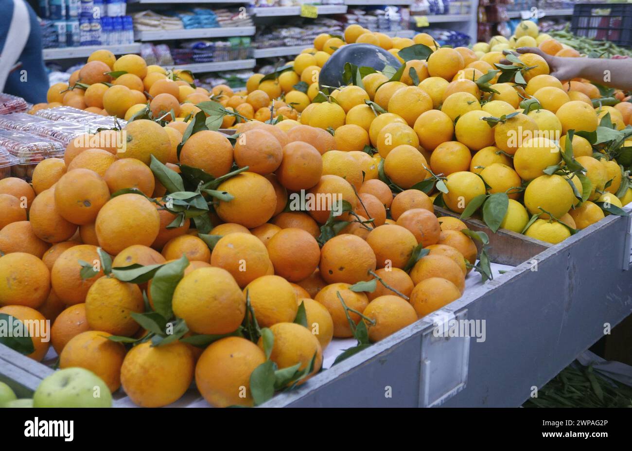 Saida lebanon crusaders sea castle seaside palestinian flag hama hi-res ...