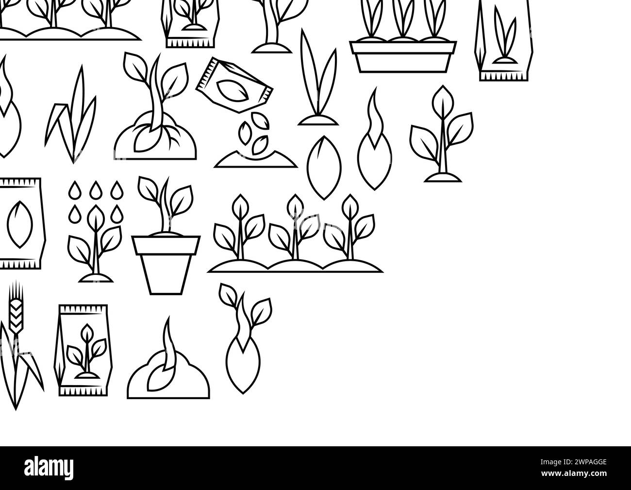 Planting seeds and growing card. Agricultural, cultivation and planting illustration Stock ...