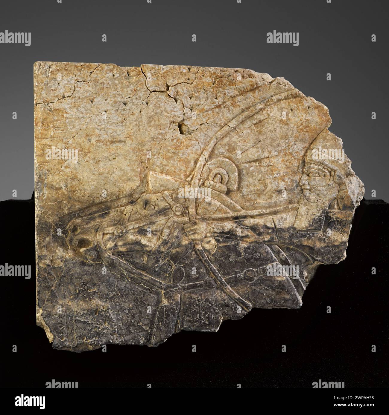 Wilhelm graf von 1819 1893 zbiory hi-res stock photography and images ...