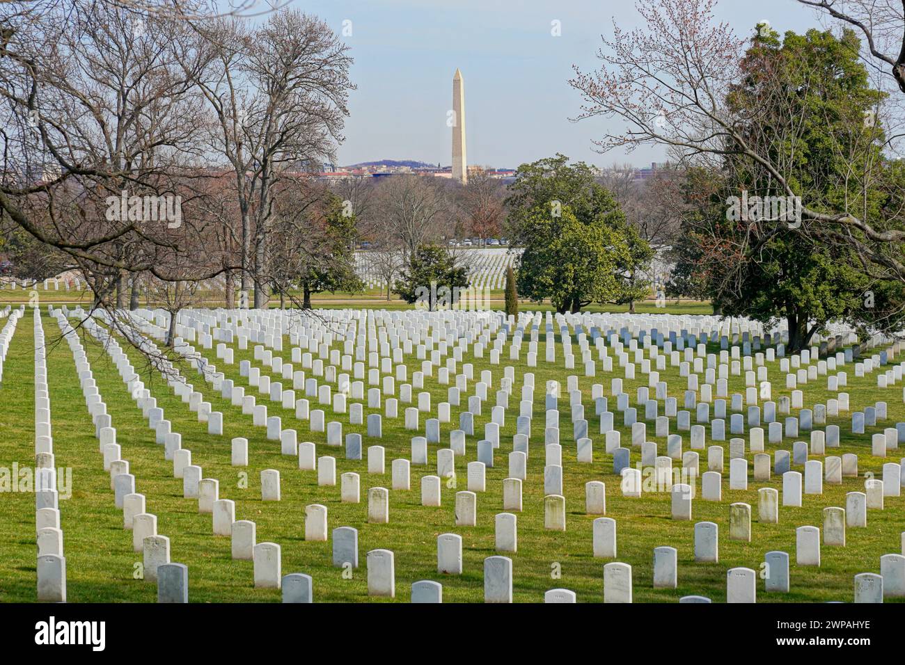 Rows of Headstones in Arlington National Cemetery with the Washington ...