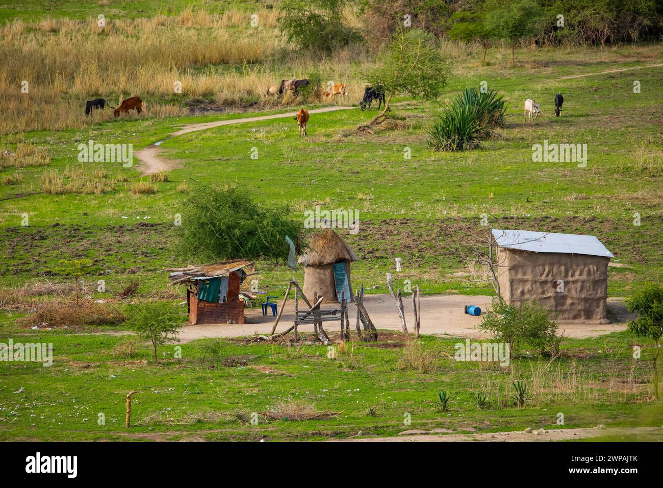 Arusha,Tanzania,Africa. 03.02. 2022. Traditional Masai village at ...