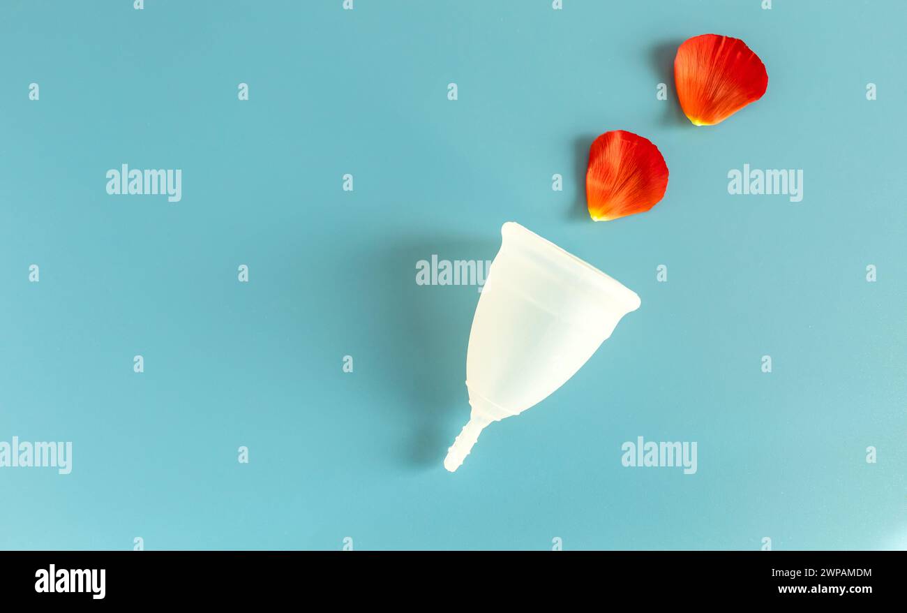Mockup World Menstrual Hygiene Day, 28th May. Silicone Period Cup, Disk ...