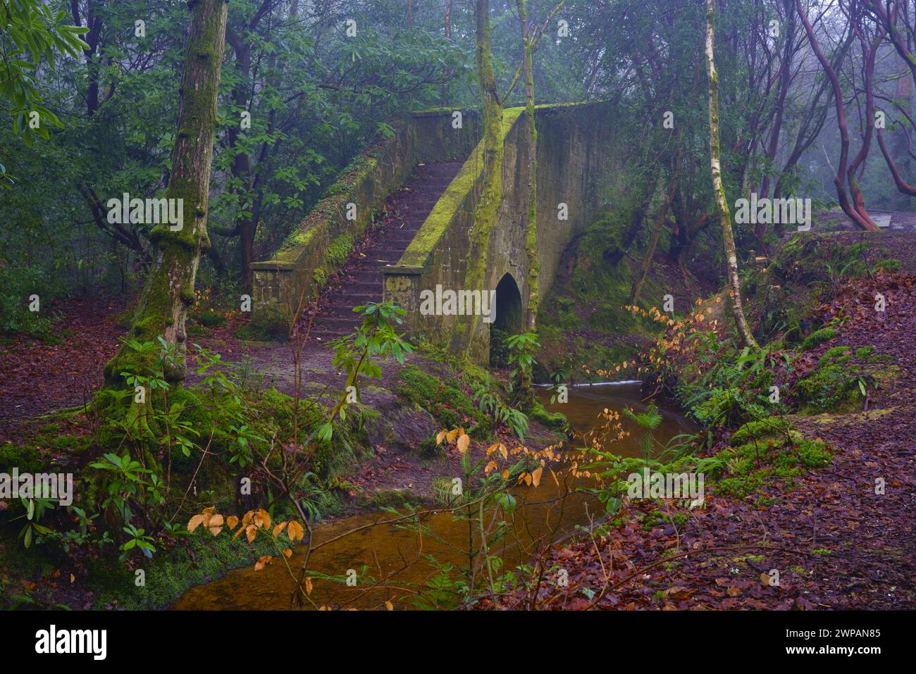 Vachery arch hi-res stock photography and images - Alamy