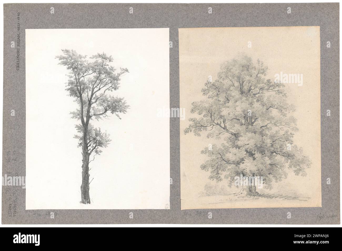 Study color form Cut Out Stock Images & Pictures - Alamy