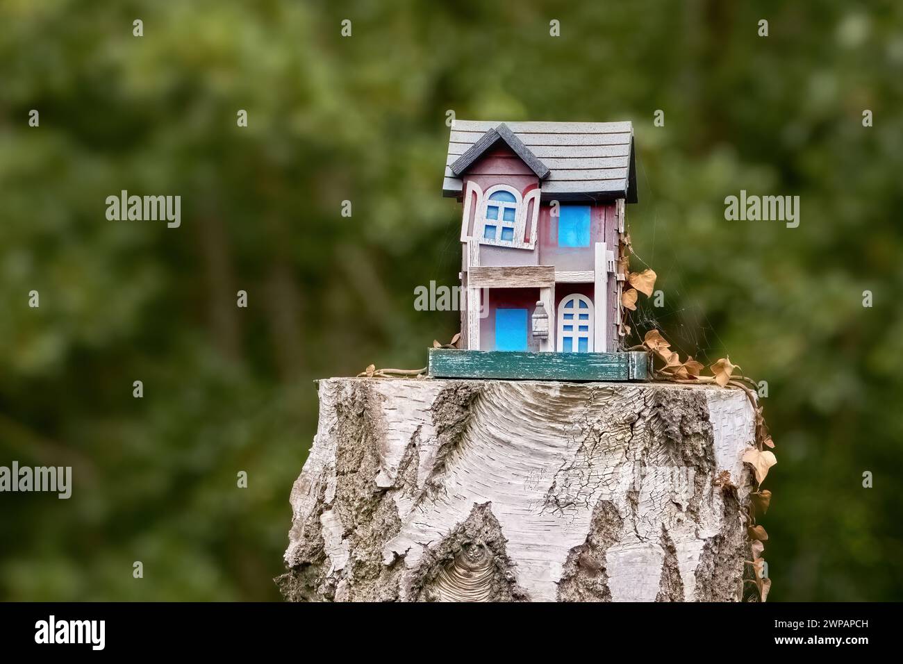 Weathered little wooden house stands on the tree stump of a birch tree ...