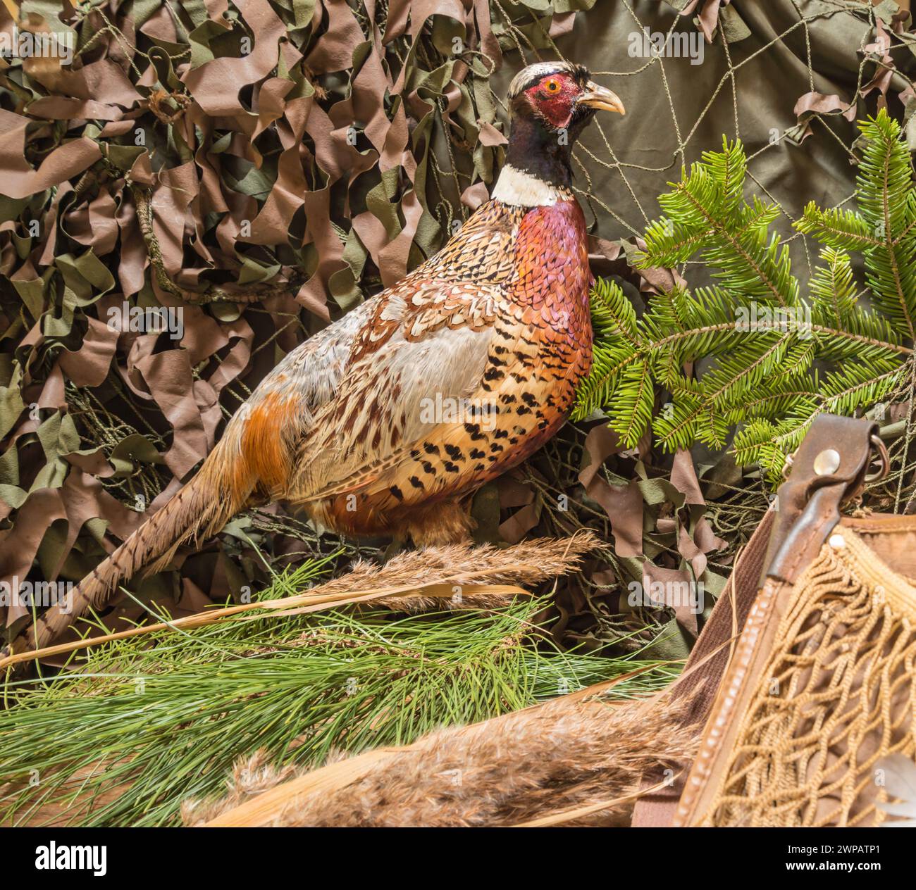 Hunting season concept Stock Photo - Alamy