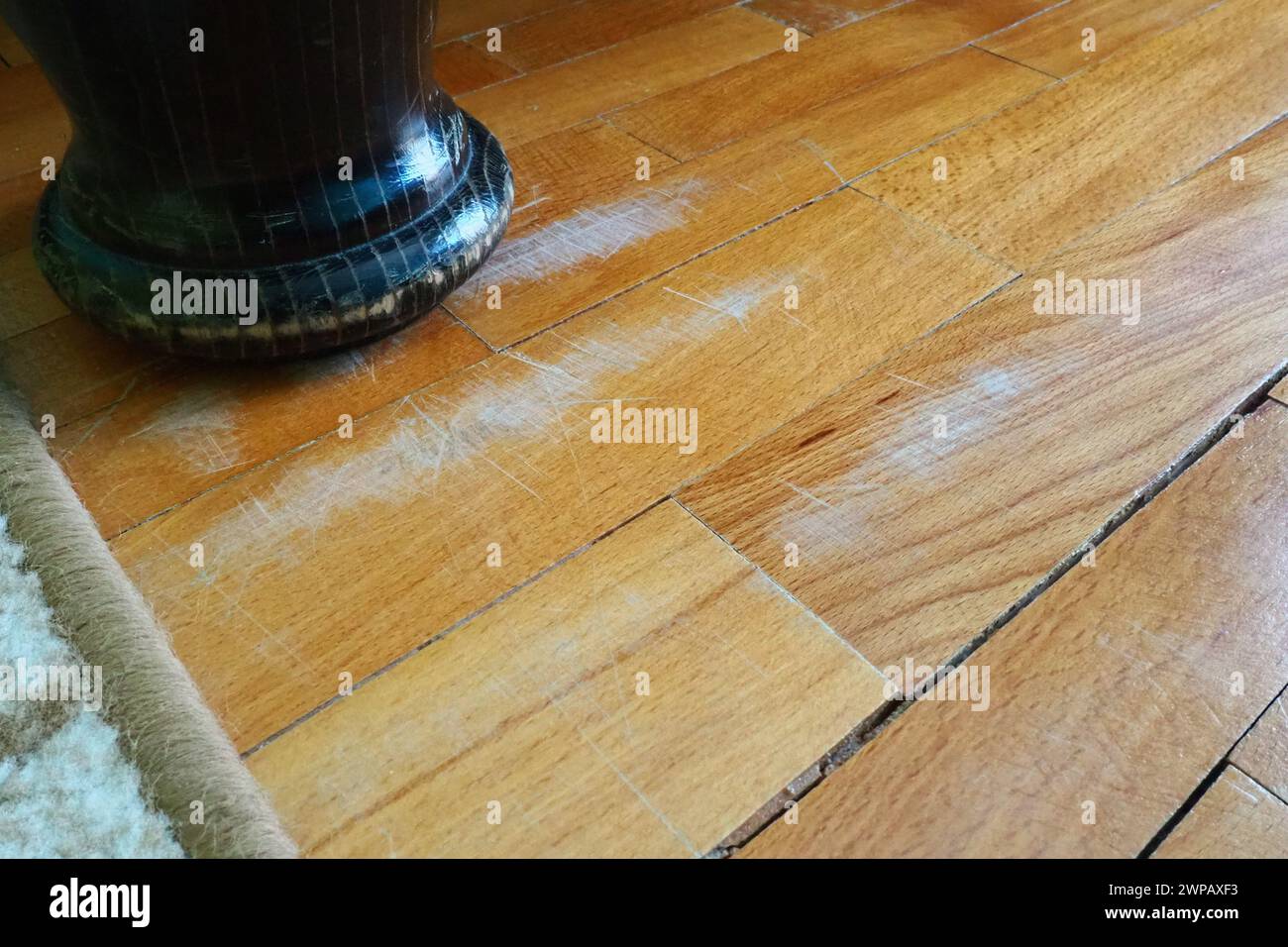 Scratched old parquet flooring needs maintenance. The parquet is ...