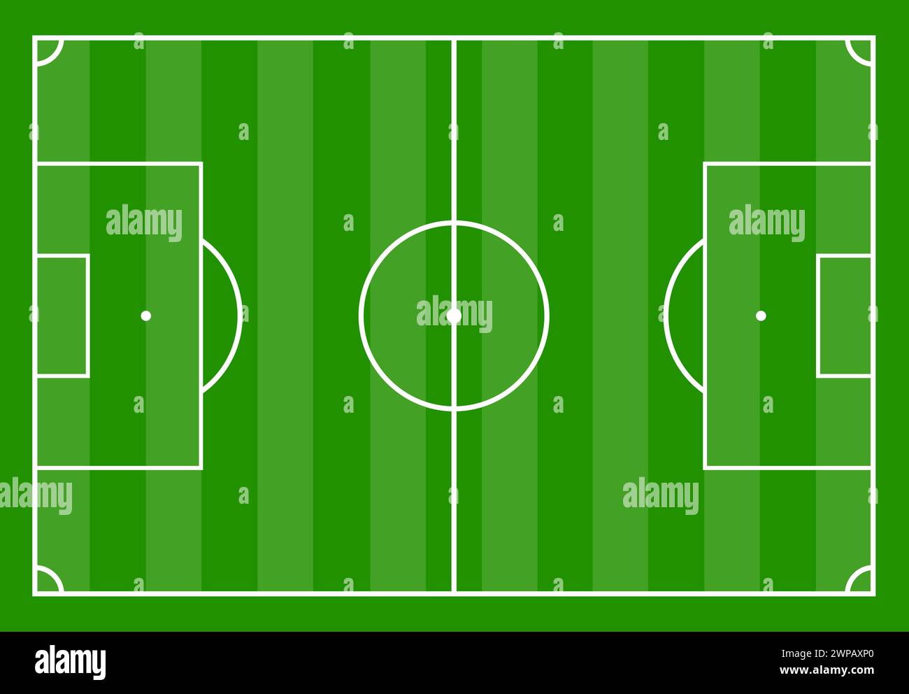 Football field with green grass. Vector illustration Stock Vector Image ...