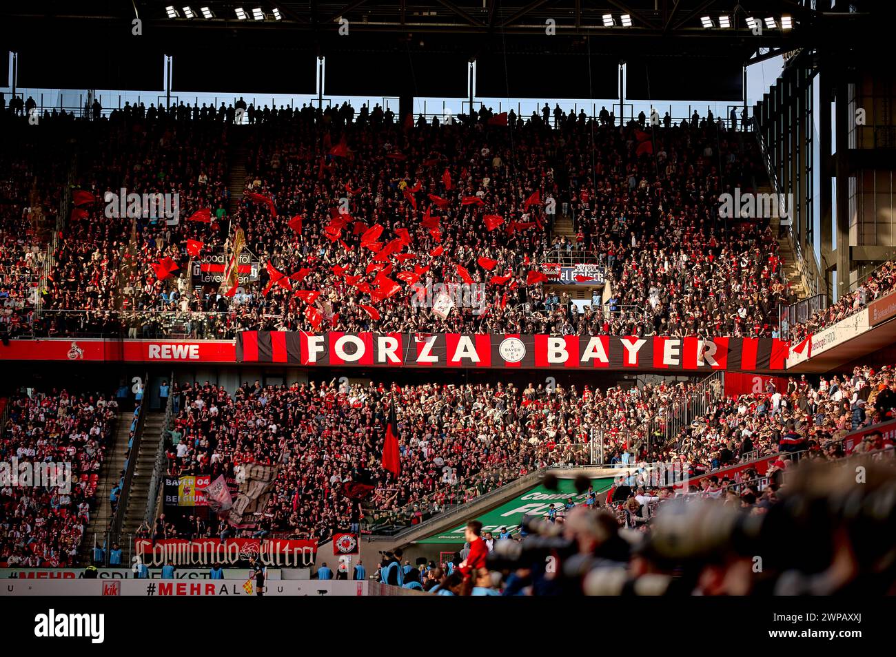 COLOGNE, GERMANY - 3 MARCH, 2024: Fan supporters of Bayer 04 Leverkusen ...