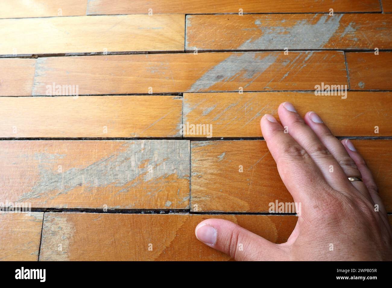 Old, scratched parquet flooring needs maintenance. the parquet is ...
