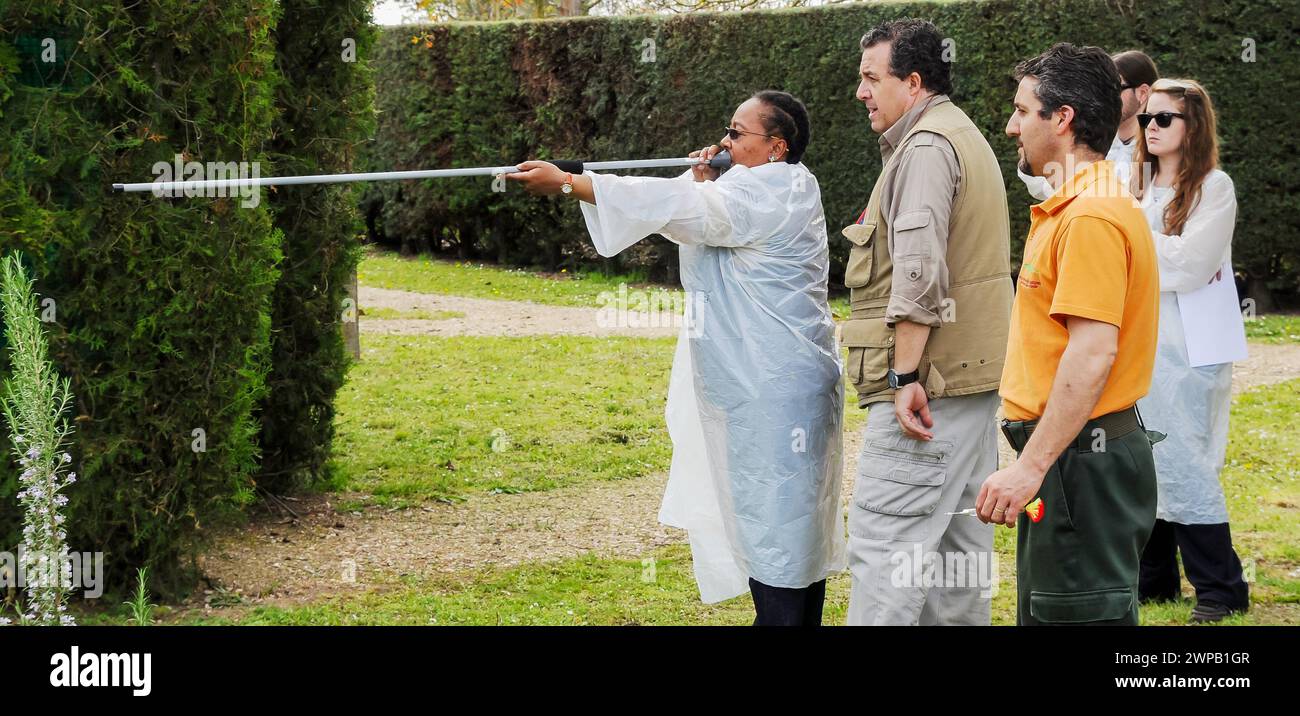 Woman aiming syringe hi-res stock photography and images - Alamy