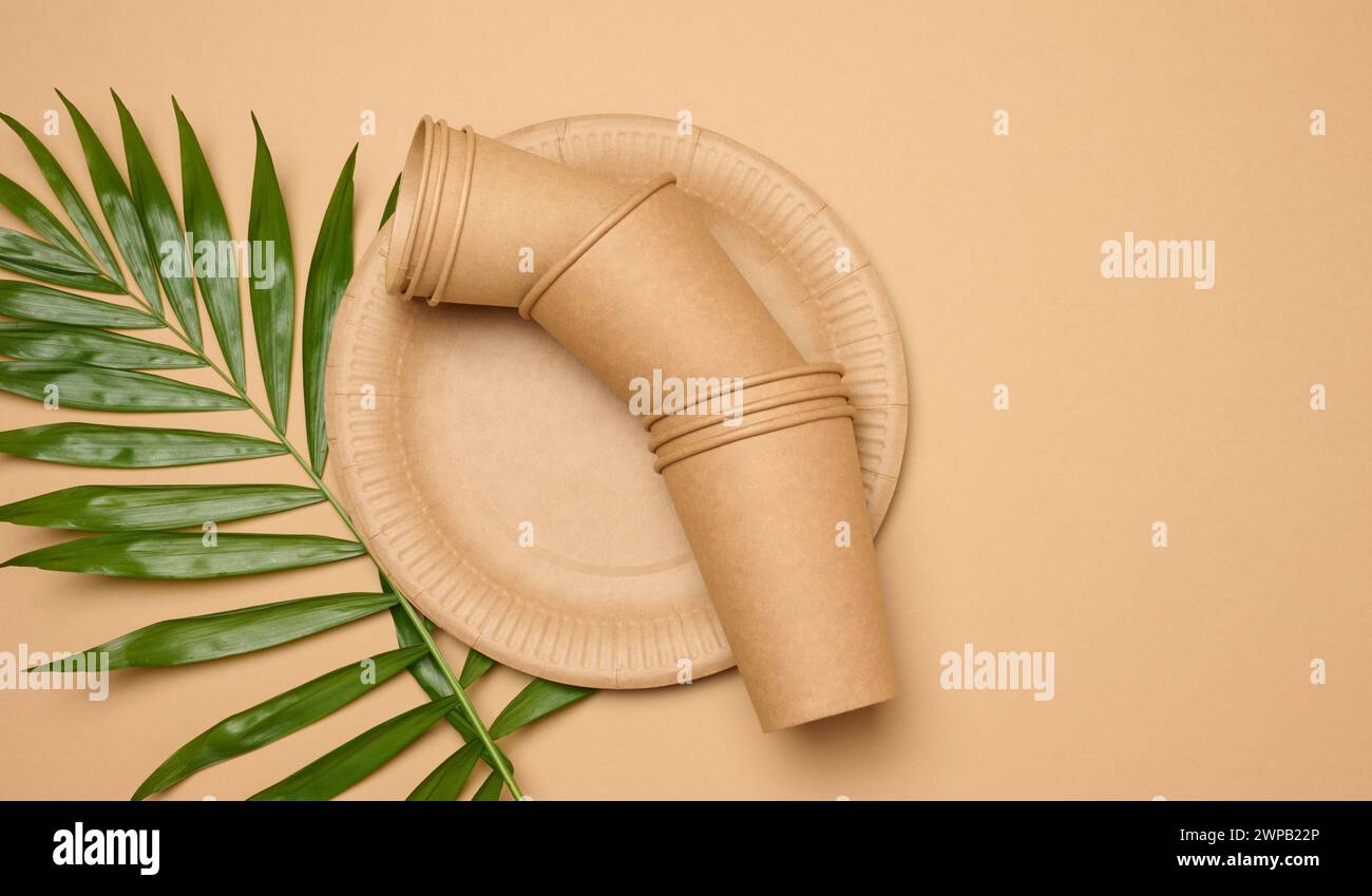 Paper plates and cups on a beige background, top view Stock Photo - Alamy