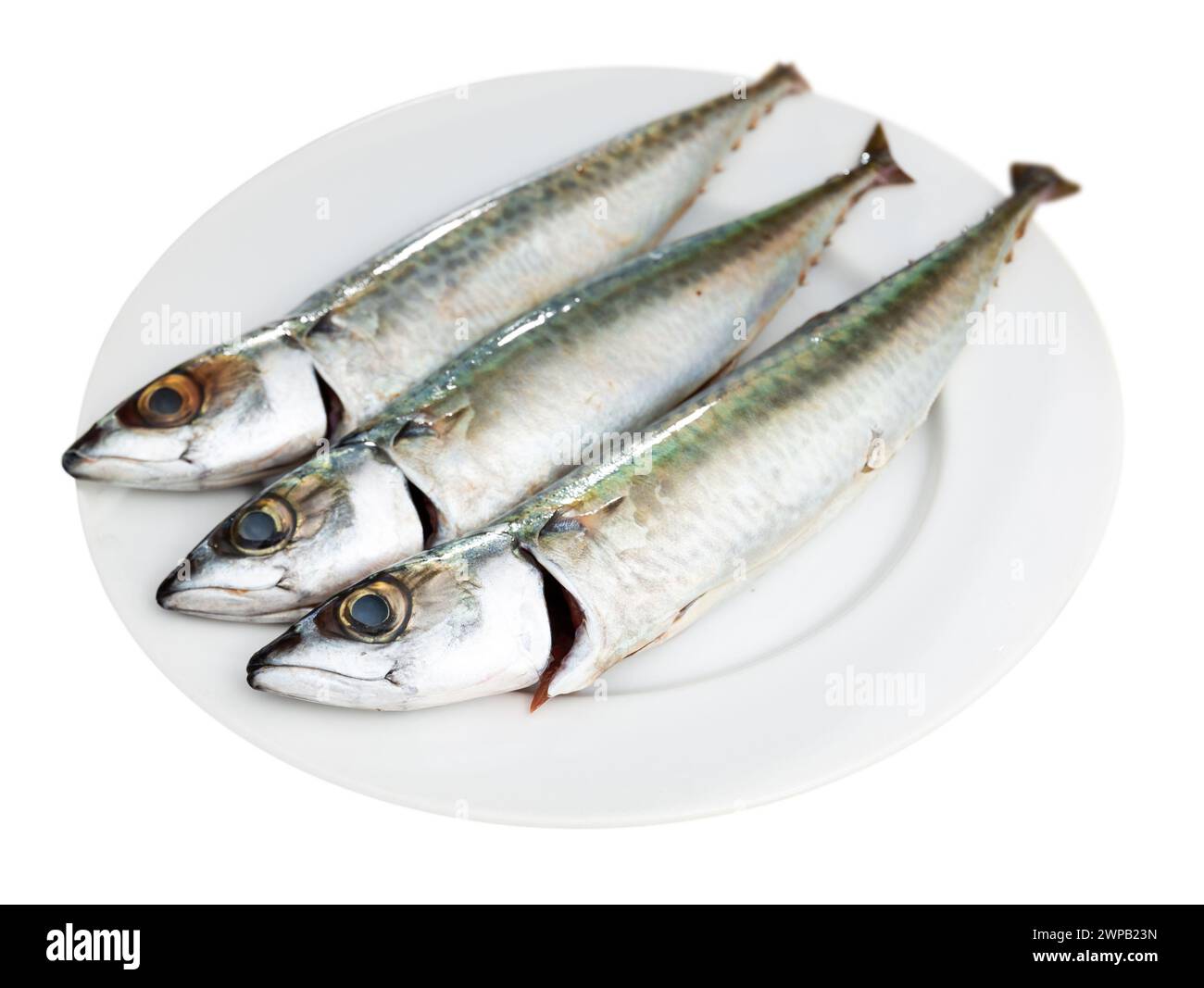 Raw mackerel fish served to table Stock Photo - Alamy
