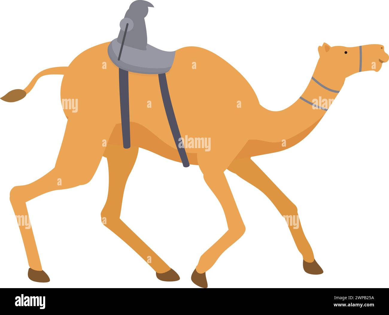 Arabia saudi desert camel icon cartoon vector. Sport tradition. Farm ...