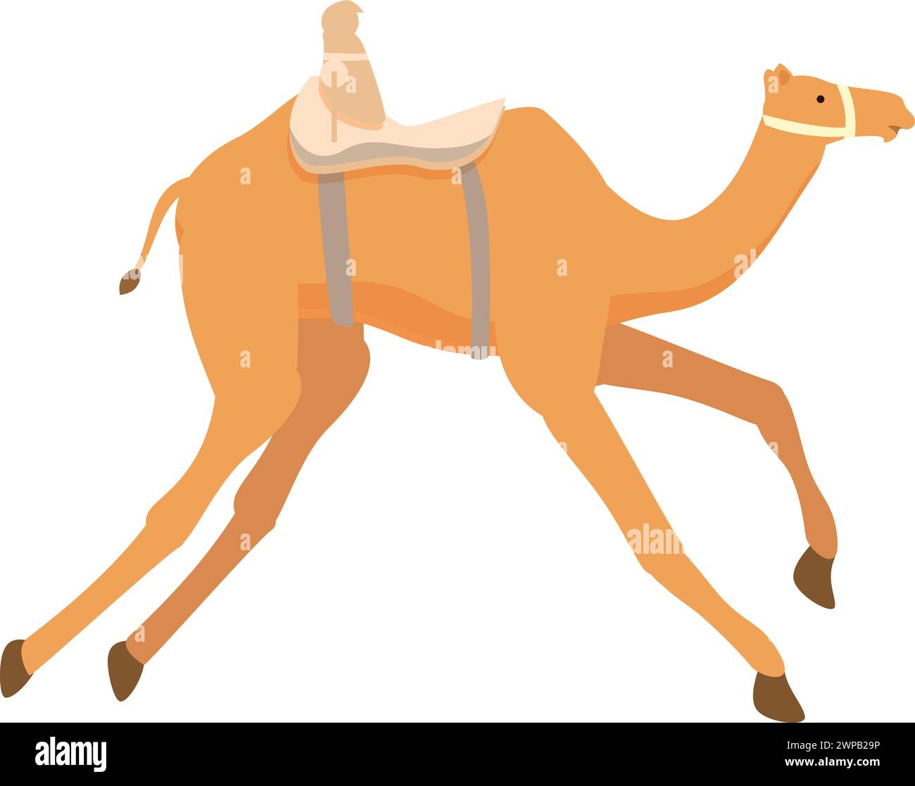 Camel competition icon cartoon vector. Sport running festival. Farm ...