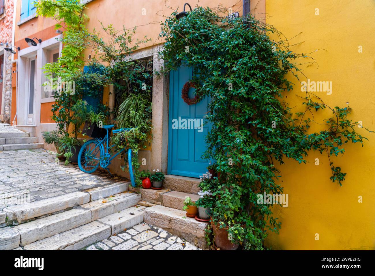 cityscape grisia street view in Rovinj Croatia with yellow houses and ...