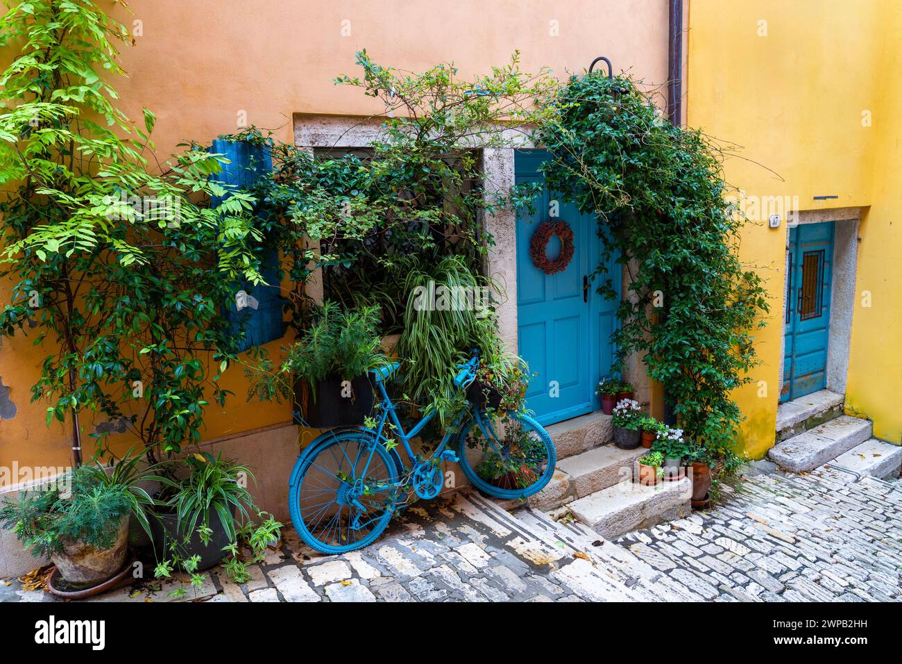 cityscape grisia street view in Rovinj Croatia with yellow houses and ...