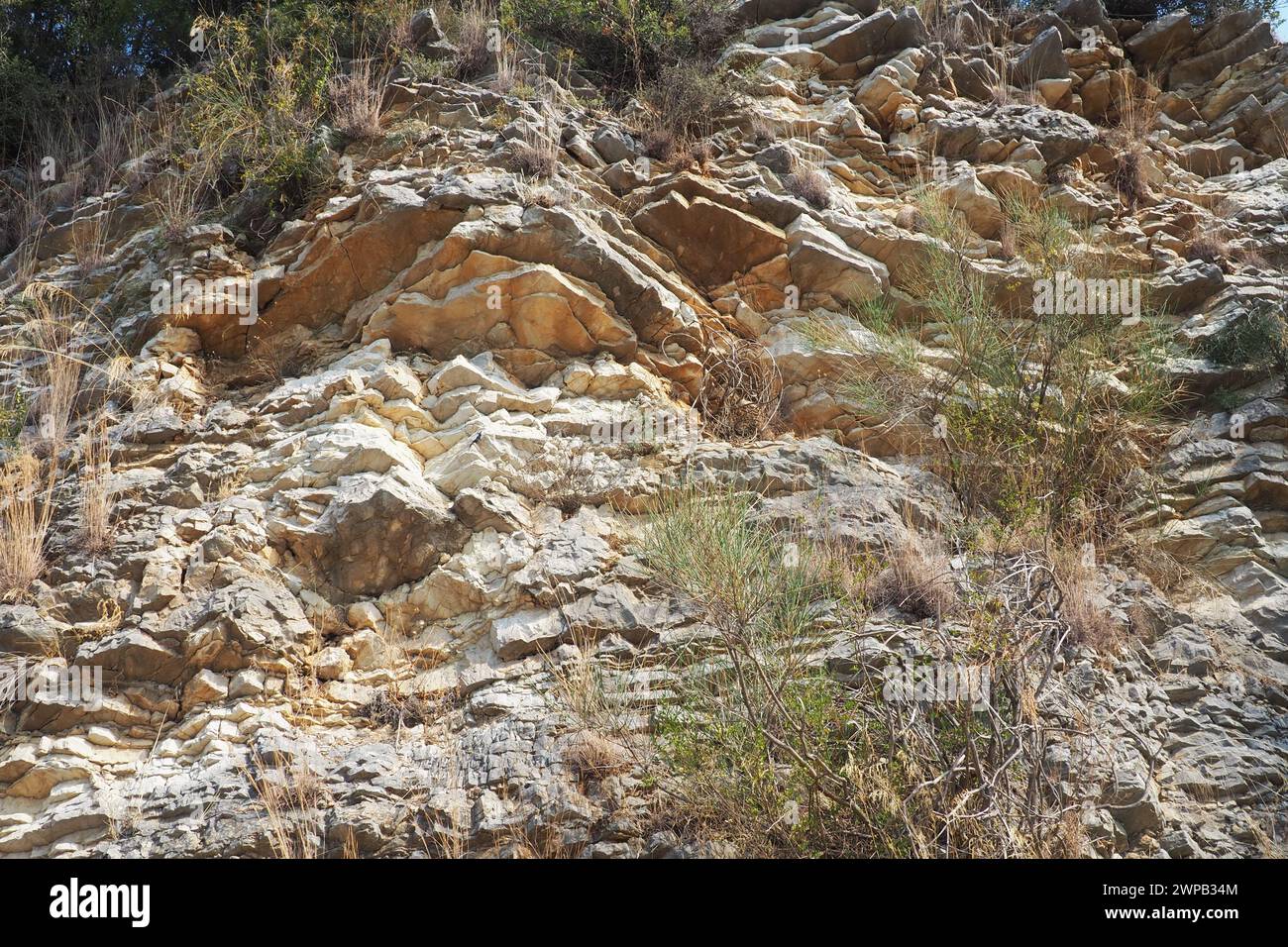 Flysch is a series of marine sedimentary rocks that are predominantly ...