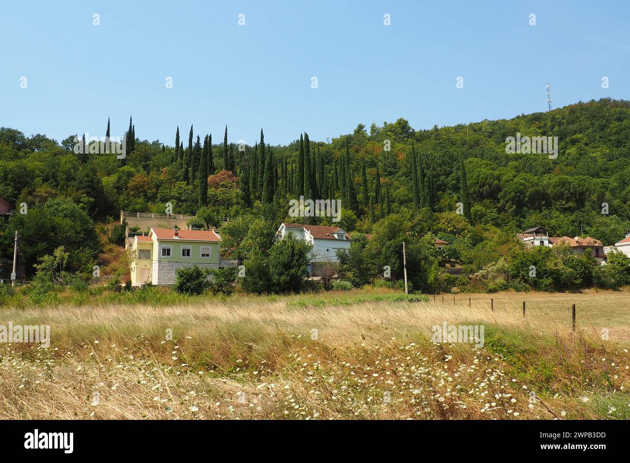 Altitudinal climatic zoning hi-res stock photography and images - Alamy