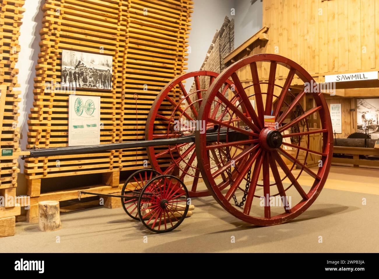 Logging timber hi-res stock photography and images - Alamy