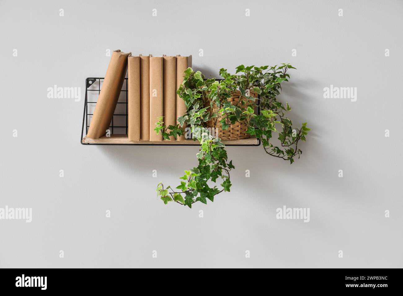 Shelf with books and plant on light wall Stock Photo - Alamy