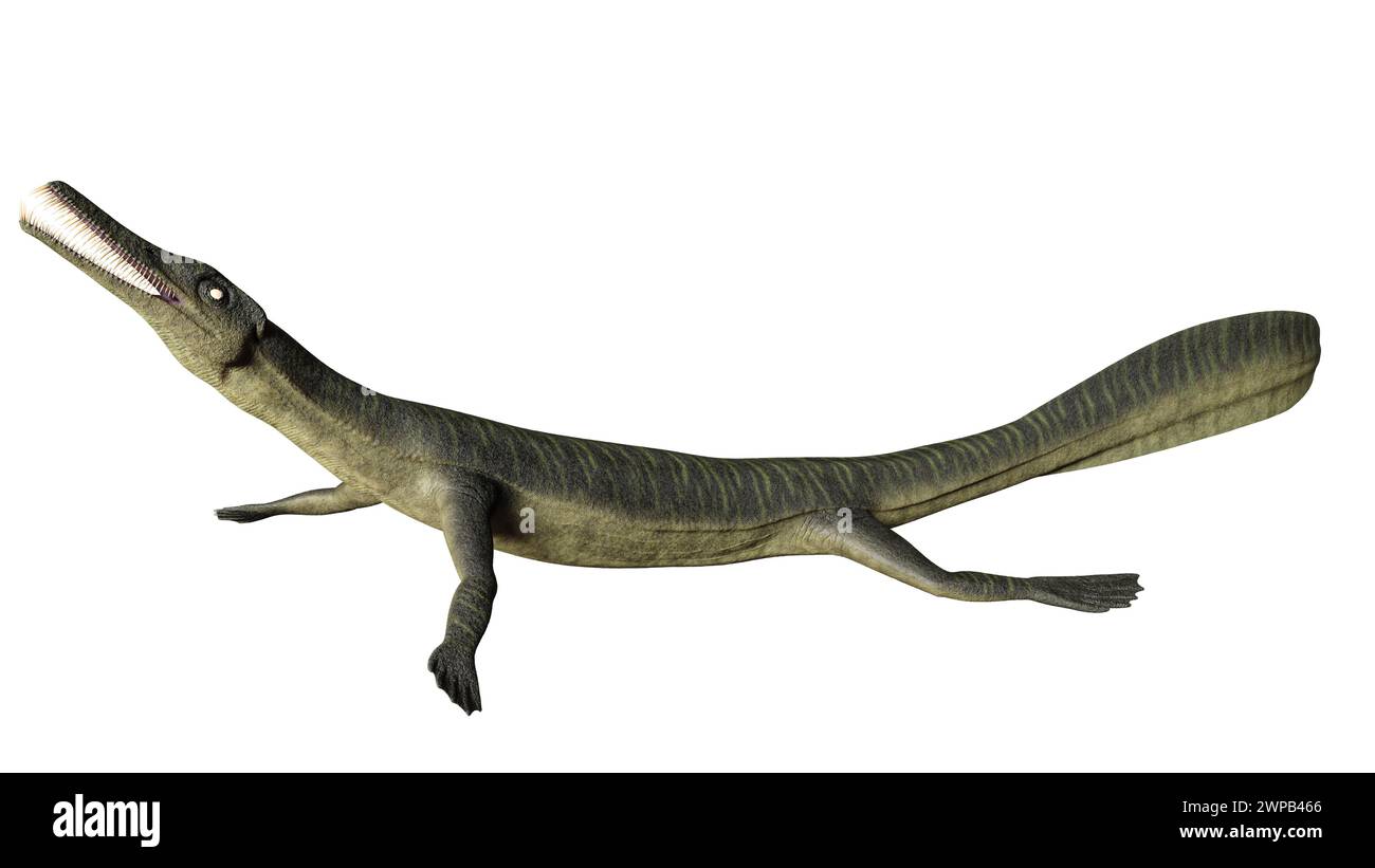 Extinct Genus Of Marine Squamate Reptile From The Late Cretaceous Stock