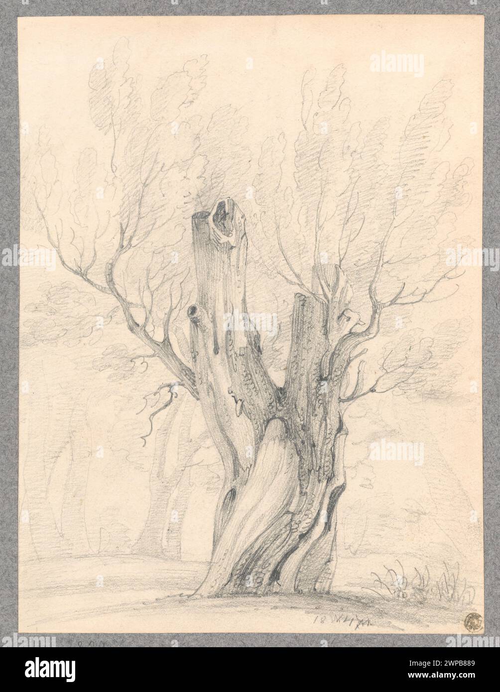 Witke jezewski dominik hi-res stock photography and images - Alamy