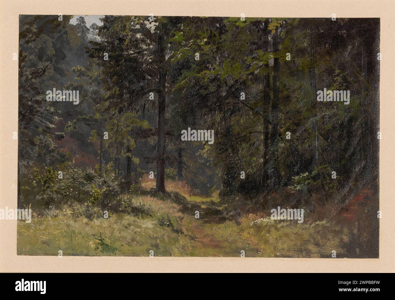 Szczawnik potok gorski doplyw popradu hi-res stock photography and ...