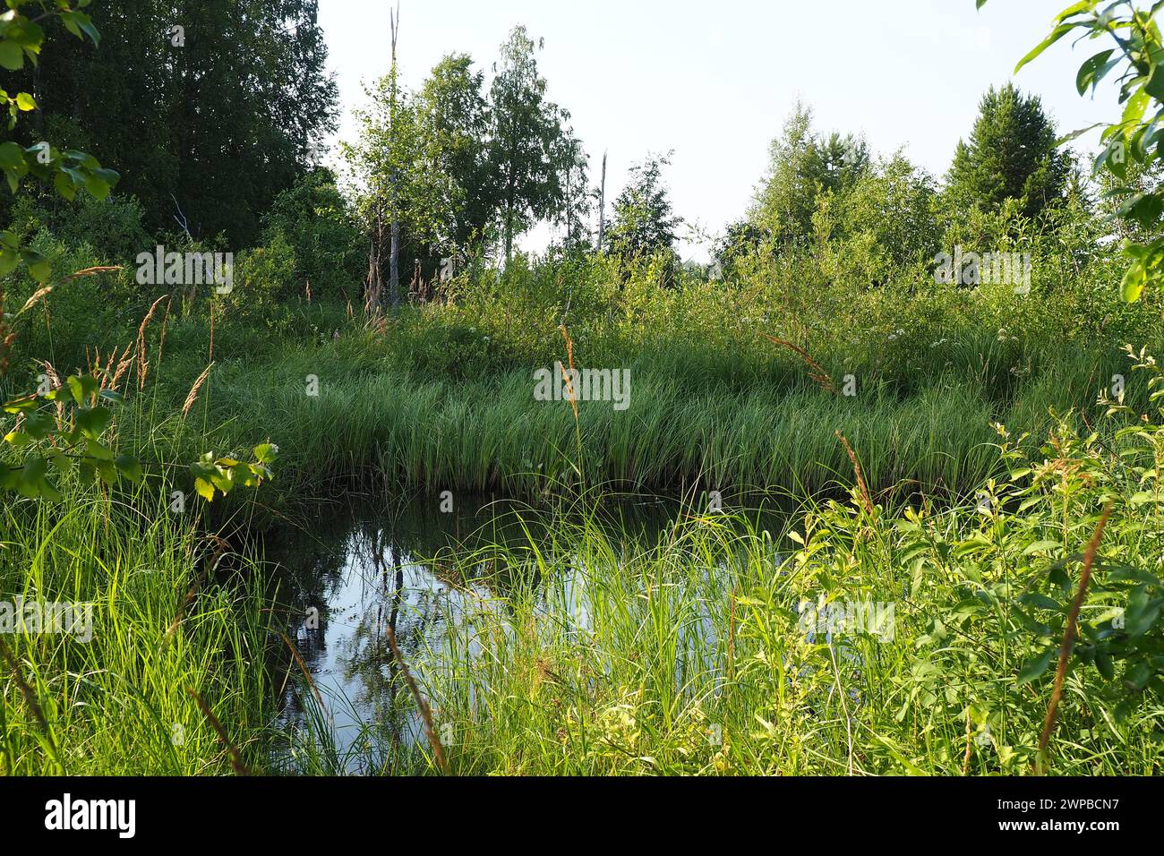 Fen area hi-res stock photography and images - Alamy