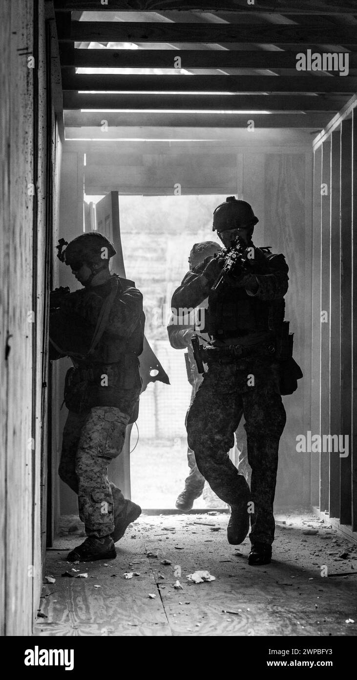 U.S. Marines with 2nd Combat Engineer Battalion, 2d Marine Division ...