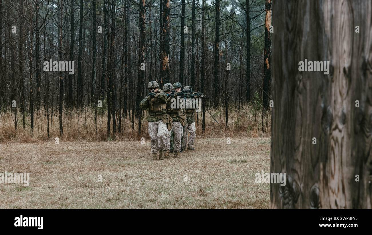 U.S. Marines with 2nd Combat Engineer Battalion, 2d Marine Division ...