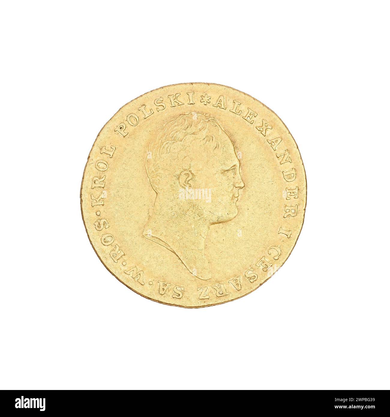 Polish plants Cut Out Stock Images & Pictures - Alamy