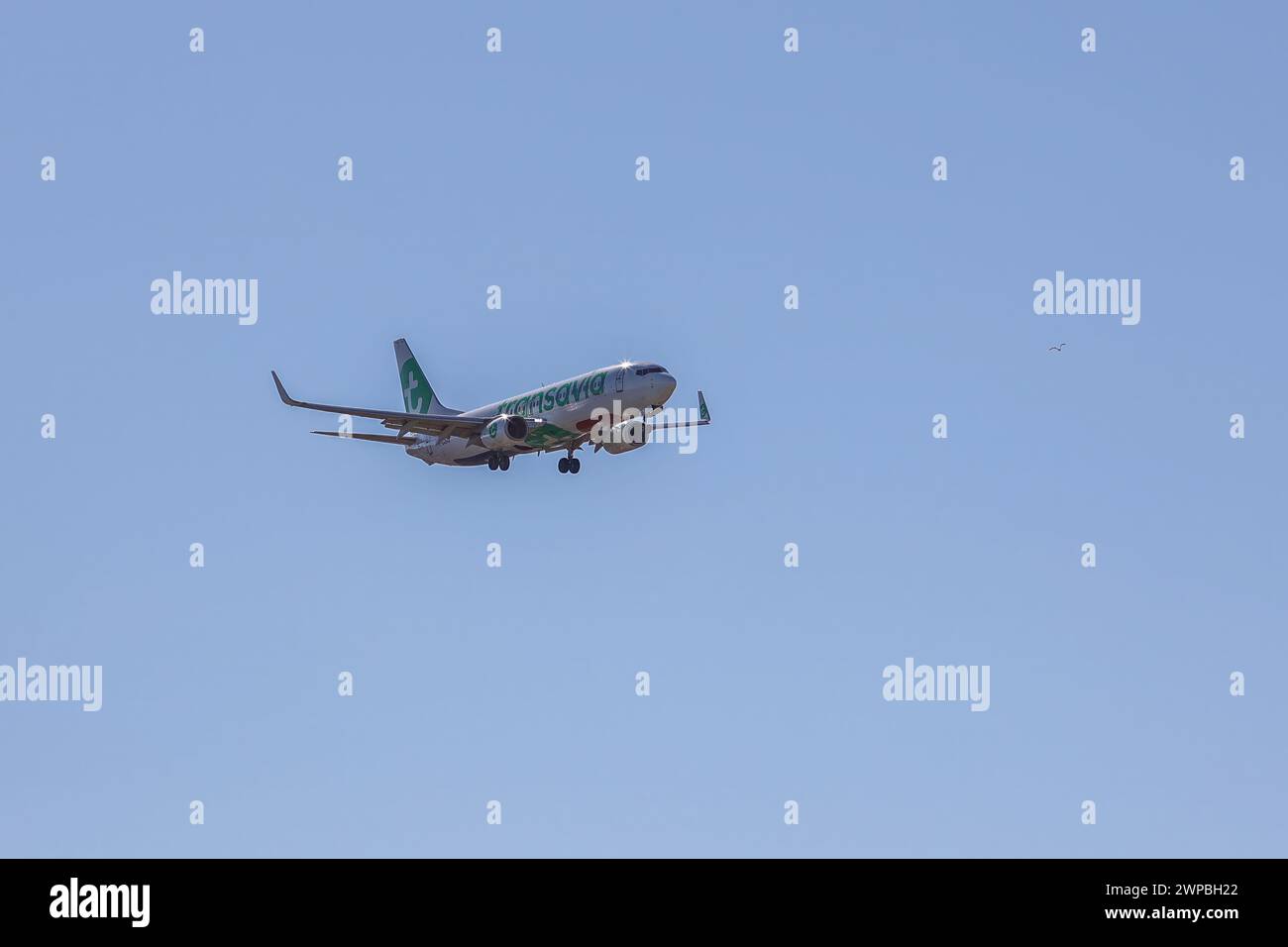 General view of an Boeing 737-800 from the low-cost company Transavia ...