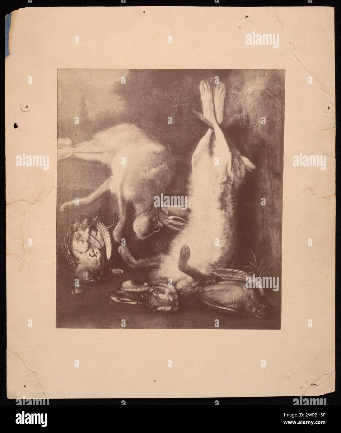 Epoch visualization hi-res stock photography and images - Alamy