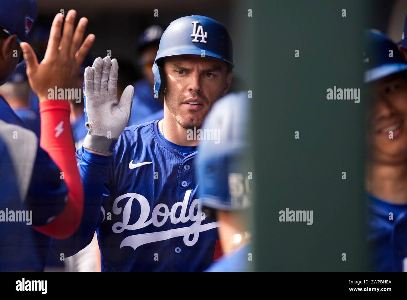 Los Angeles Dodgers' Freddie Freeman celebrates in the dugout after ...