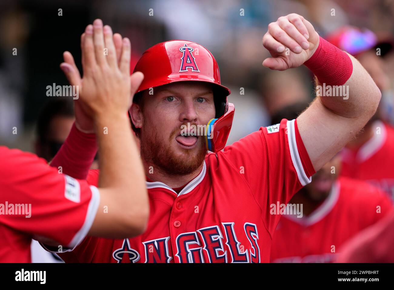 Los Angeles Angels' Chad Wallach high fives teammates after scoring on ...