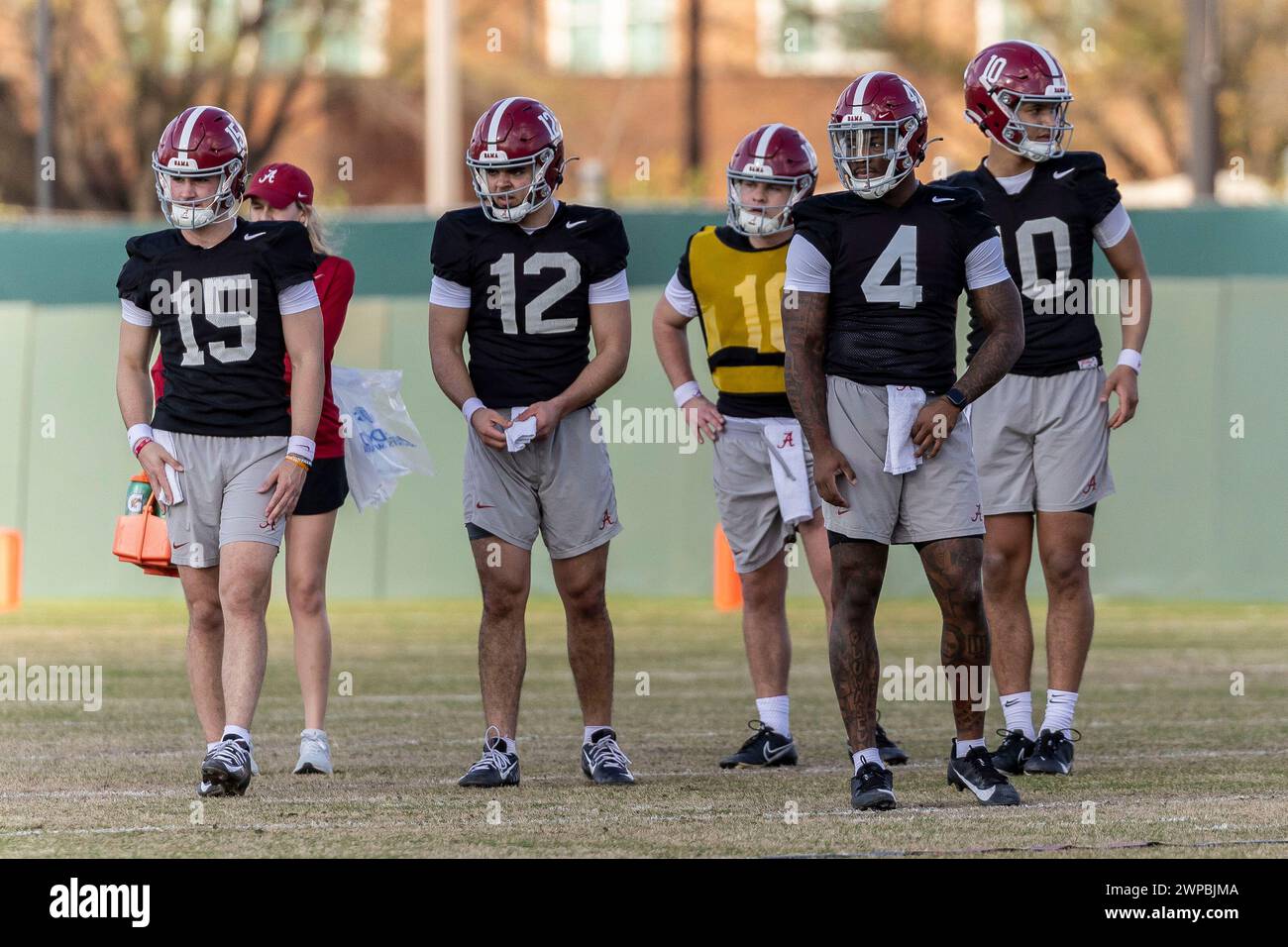 Alabama quarterbacks Ty Simpson (15), Dylan Lonergan (12), Cade Carruth ...