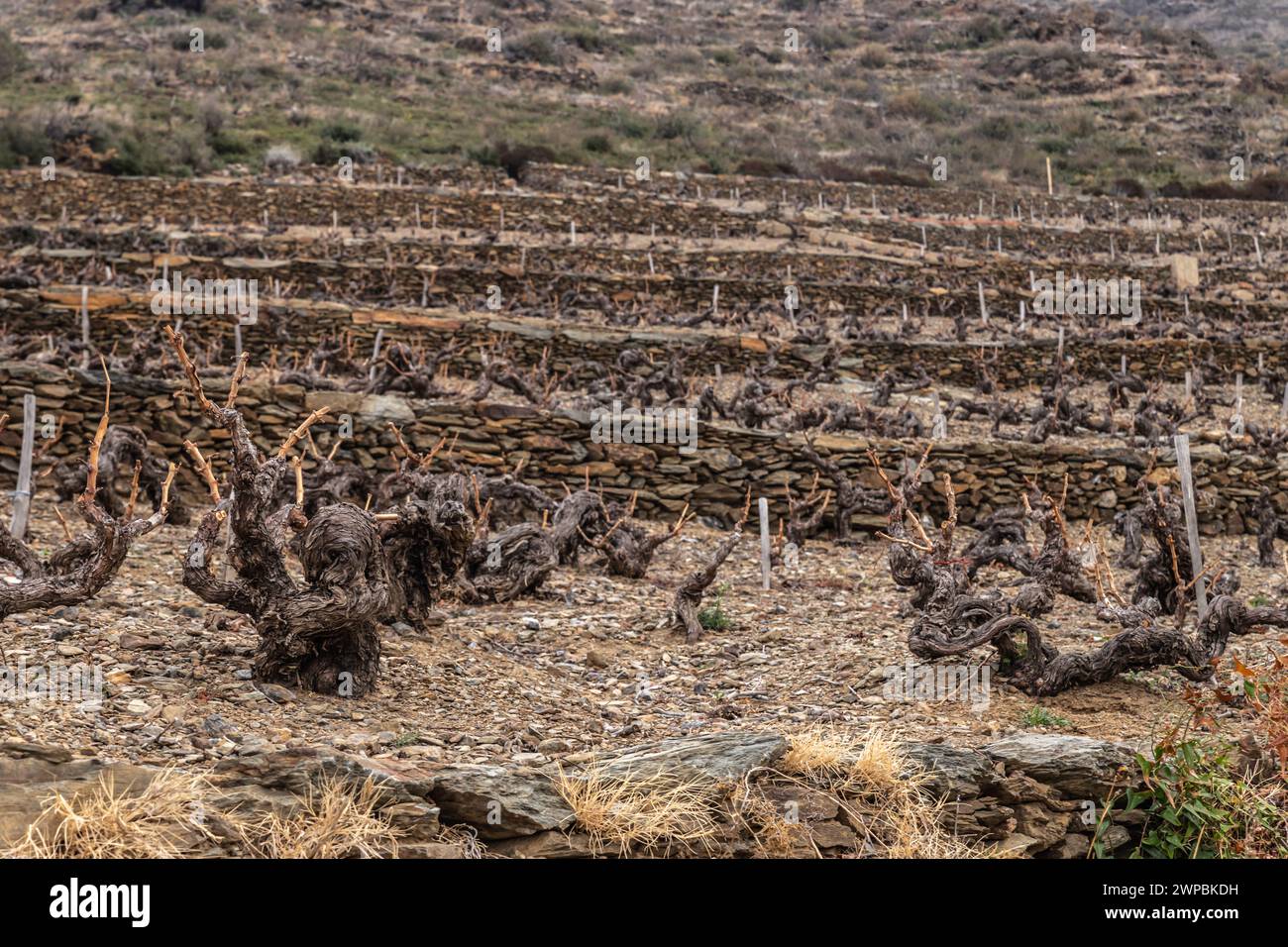 à flanc de colline hi-res stock photography and images - Alamy