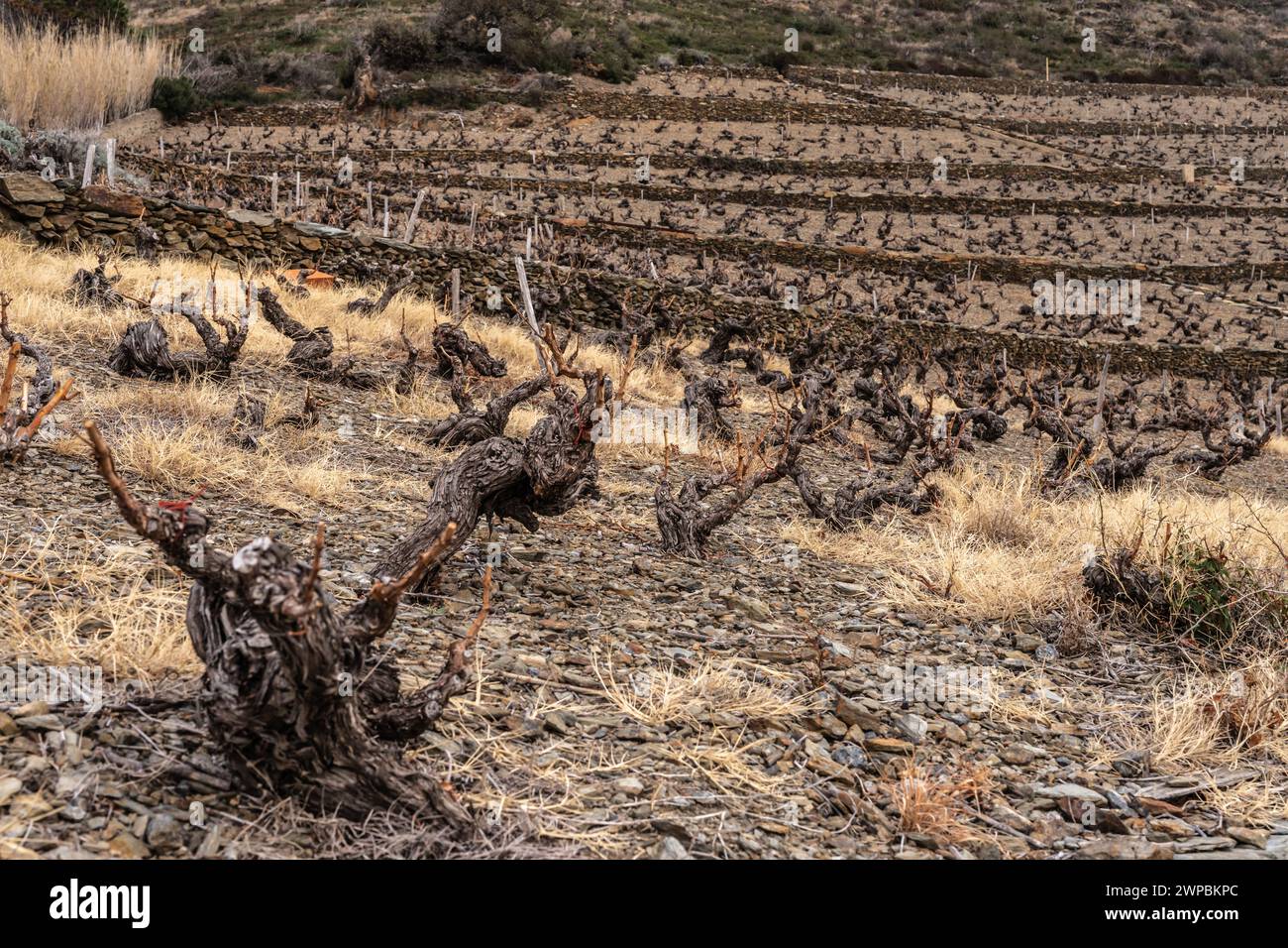 à flanc de colline hi-res stock photography and images - Alamy
