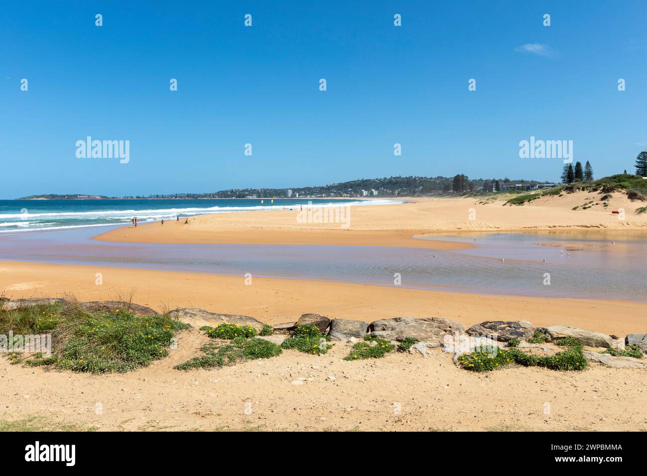 Narrabeen beach in Sydney on the northern beaches, lagoon at narrabeen ...