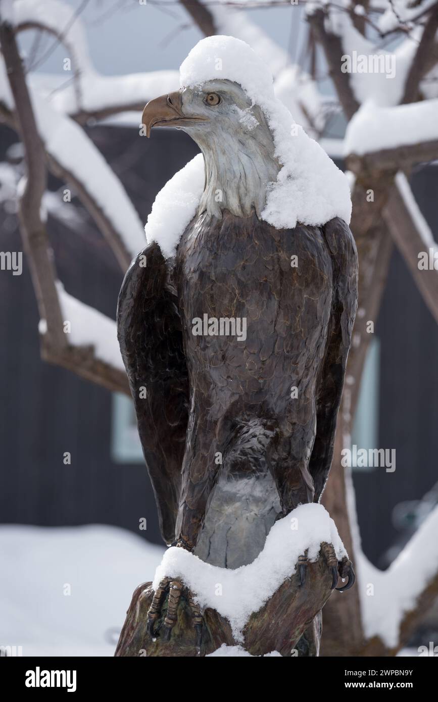 Bald eagle sculpture, by Tim Norman, in downtown Joseph, Oregon Stock ...