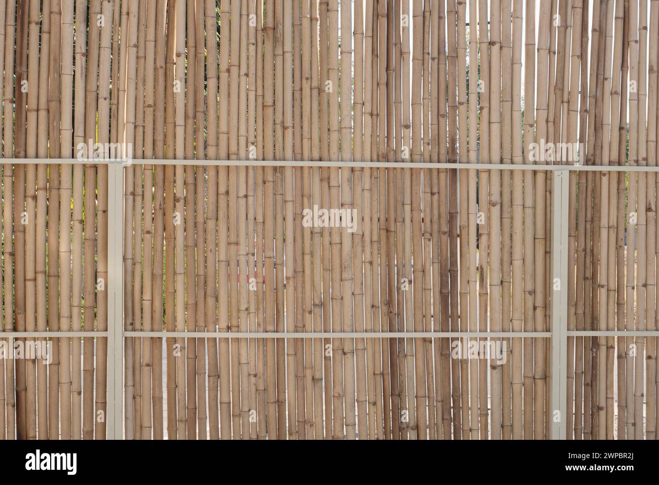 bamboo fence or wall texture background for interior or exterior design ...