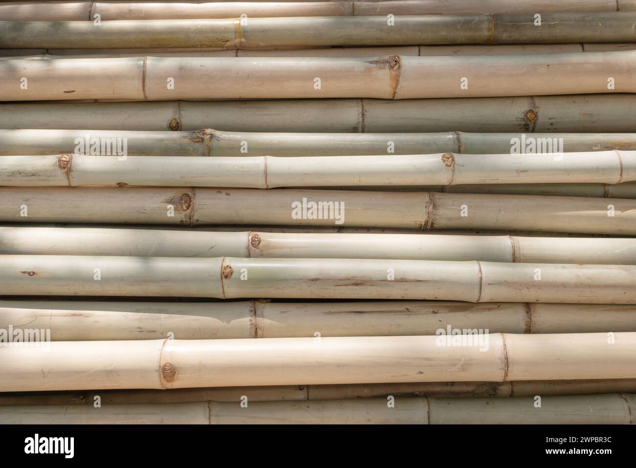 bamboo fence or wall texture background for interior or exterior design ...