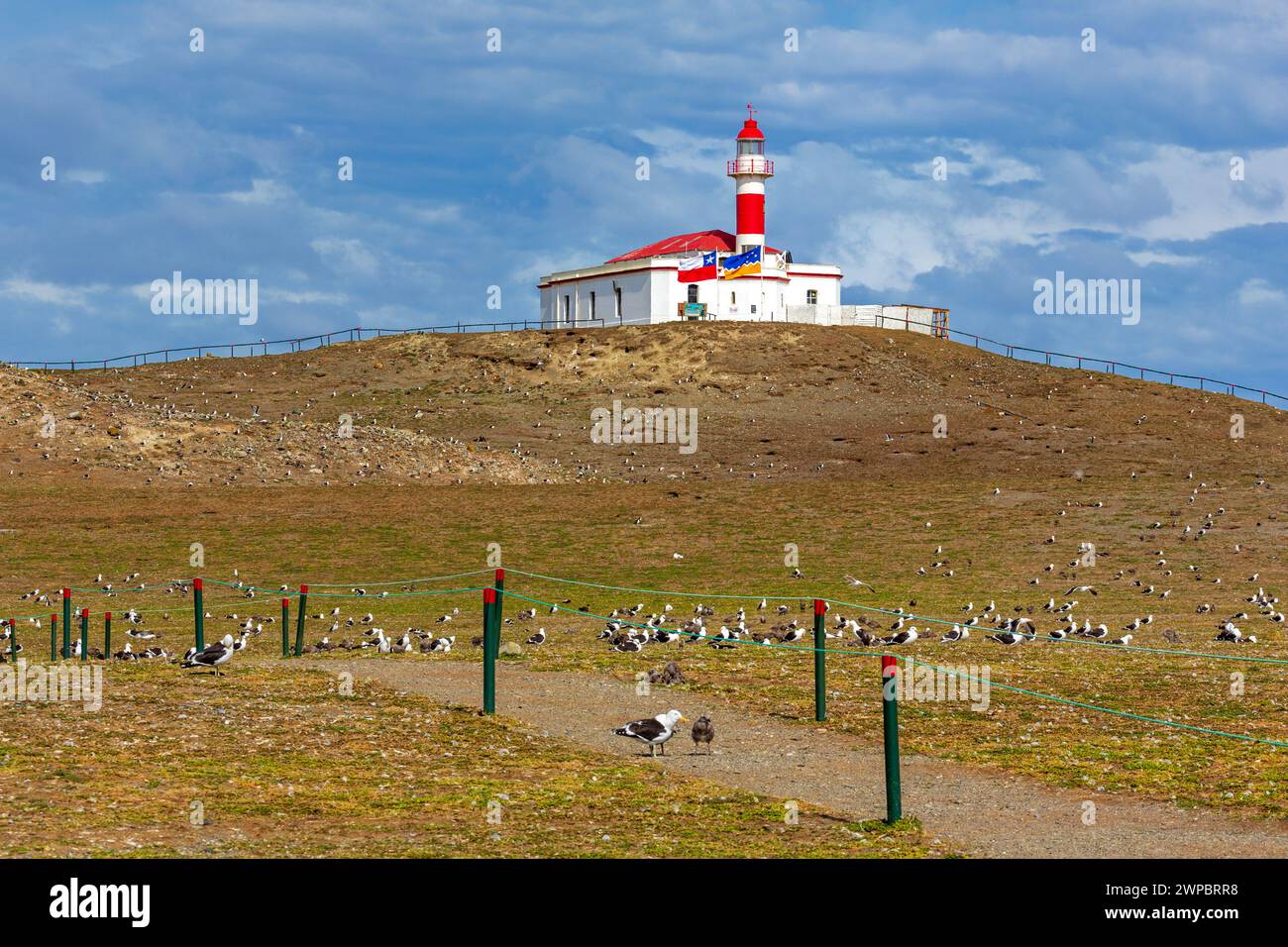 Magdalena Island Lighthouse, Magellan Strait, Magallanes Region, Chile ...