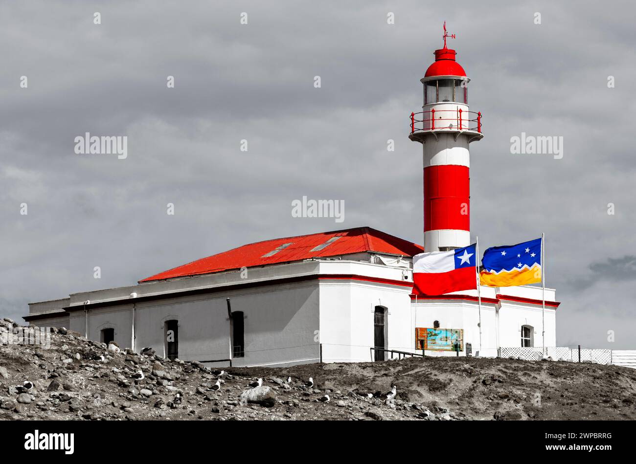 Magdalena Island Lighthouse, Magellan Strait, Magallanes Region, Chile ...