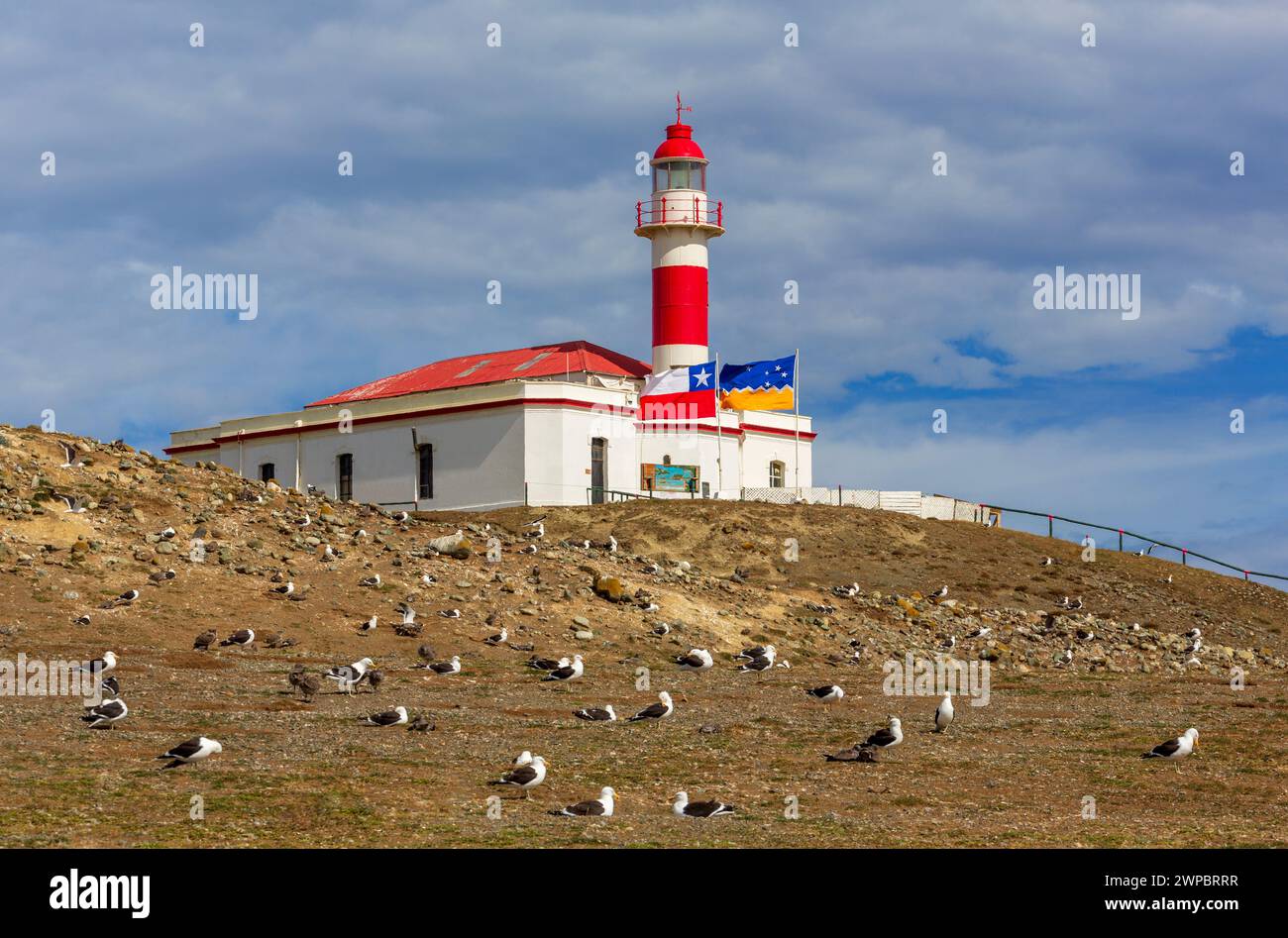 Magdalena Island Lighthouse, Magellan Strait, Magallanes Region, Chile ...